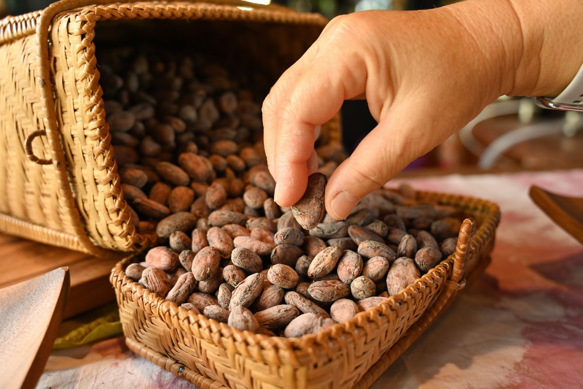 Dark Chocolate 101 : Complete Health Guide – Elements Truffles